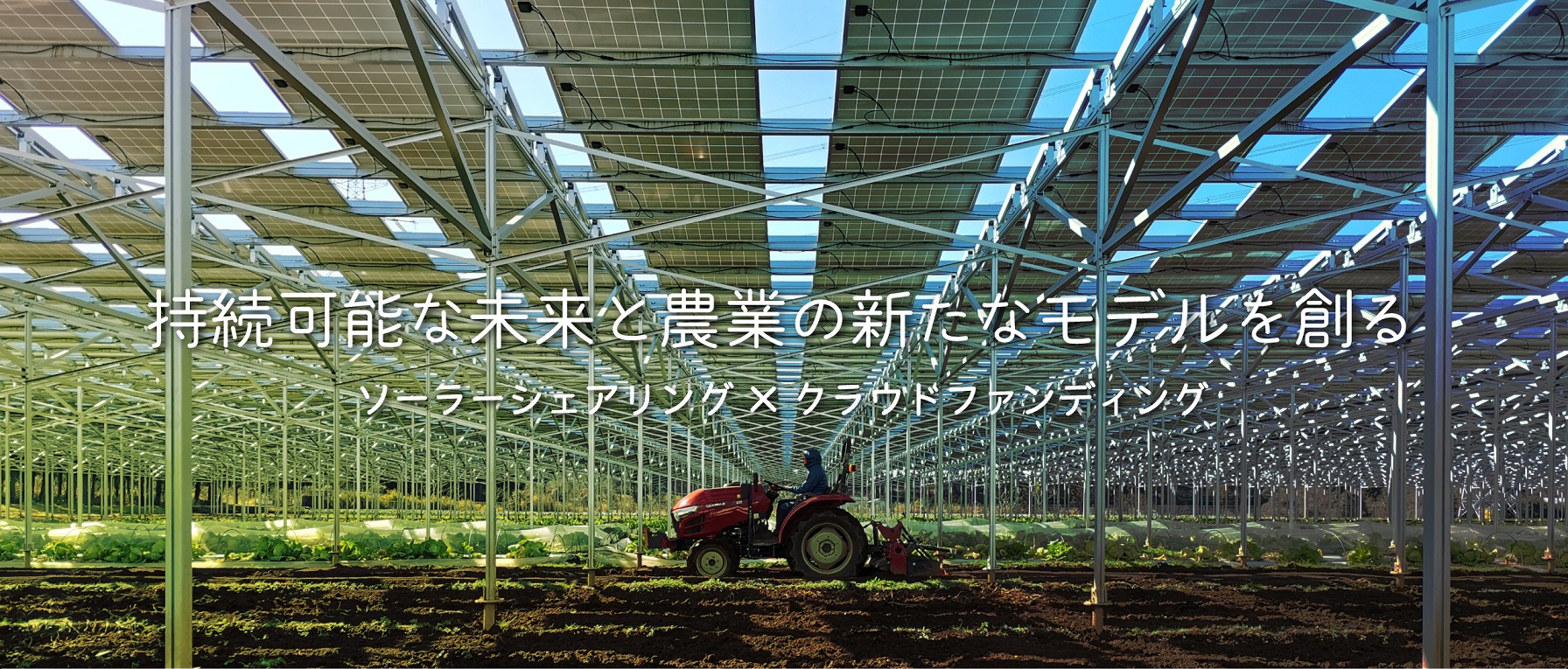 参加型クラウドファンディングとソーラーシェアリングで持続可能な農業×太陽光発電の新モデルを創る（株）FARMIGOが始動 | マイファーム
